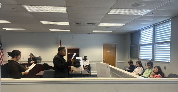 Real-Life Learning with Fictitious Court Case – LucieLink